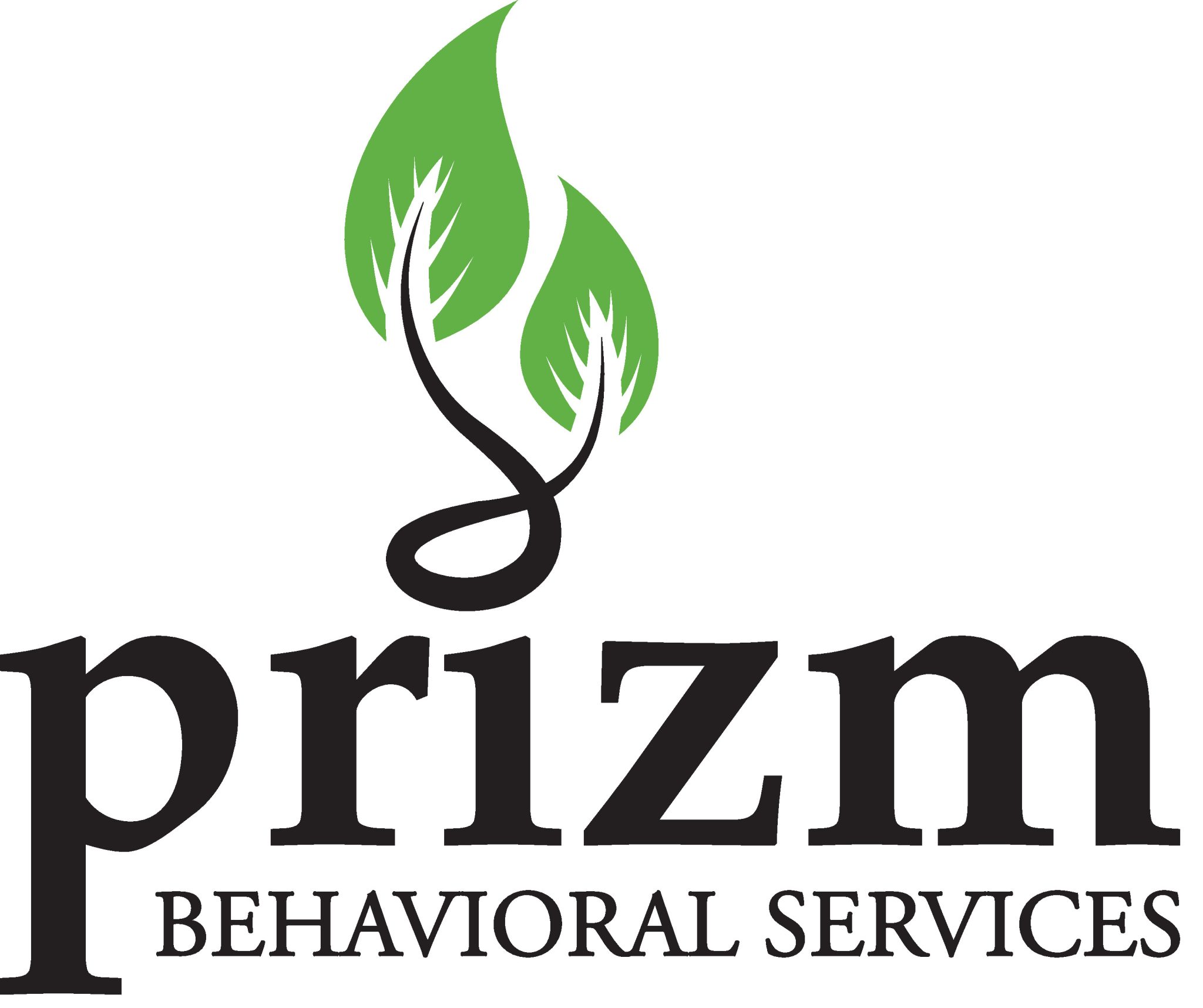 Prizm Behavioral Services – Prizm Behavioral Services